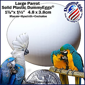 DummyEggs 4 Large Parrot Dummy Eggs Control Breeding & Laying! Realistic Macaw, Hyacinth, Cockatoo. Solid Non-Toxic Premium Plastic Fake Bird Eggs. 1-7/8" x 1-1/2" (4.8 x 3.8cm) USA