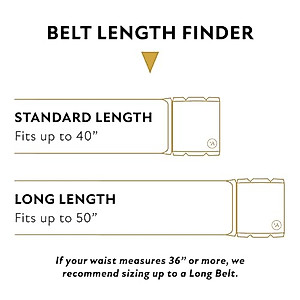 Arcade The Original Unisex Adventure Belt, Heavy Duty Elastic Webbing, Non-Metal Travel Friendly Buckle, Midnighter Black