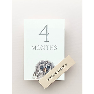 Weekend Paper Co.™ Baby Animals Milestone Cards, baby monthly marker for an expecting mother or new mother, baby gifts or shower registry.