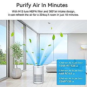 Air Purifiers for Home Large Room Up to 1345 Ft², Tailulu H13 True HEPA Air Filter Purify Smoke Pollen Pet Dander Dust Smell for Bedroom, Kitchen, Air Cleaner with Replacement Filter