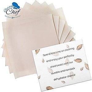 Chuzy Chef Set of 9 Dehydrator Sheets - Baking Mat Teflon Dehydrator Sheet - 14'' X 14'' Food Dehydrator Tray Liners Non Stick Sheets Baking Mat Food Dryer Sheet For Excalibur