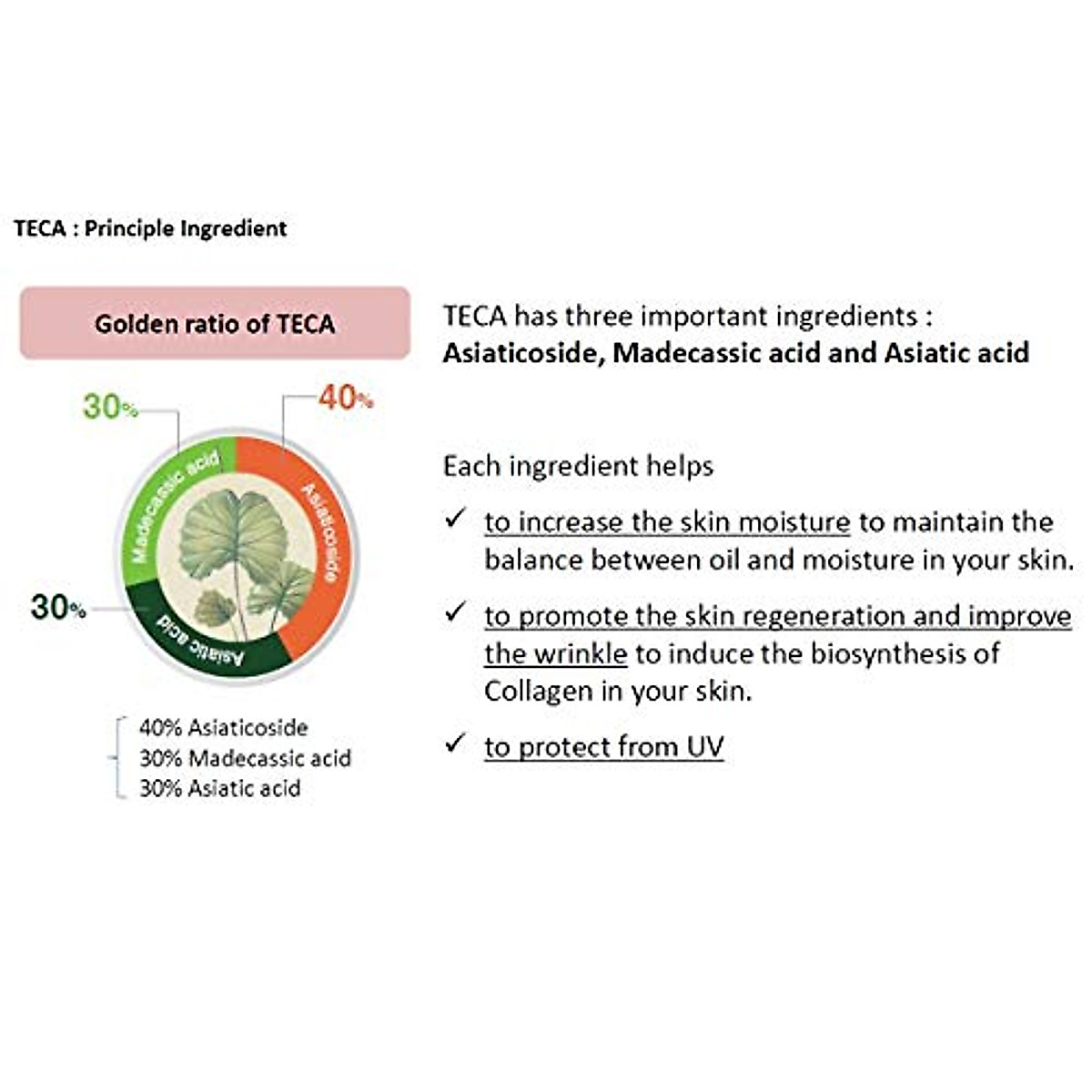 DONGKOOK CENTELLIAN 24 Micro Serum 50ml/1.69fl oz with TECA Tech. K-beauty