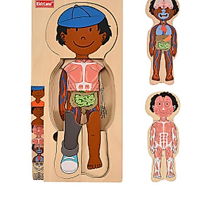 Kidzlane Boy Wooden My Body Puzzle for Toddlers & Kids - 29 Piece Boys Anatomy Puzzle Kid Play Set - Anatomy for Kids, Skeleton Toys for Kids Ages 3 Plus