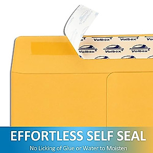 ValBox 6x9 Self Seal Catalog Security Envelopes 250 Count Small Brown Kraft Envelopes for Mailing, Storage and Organizing