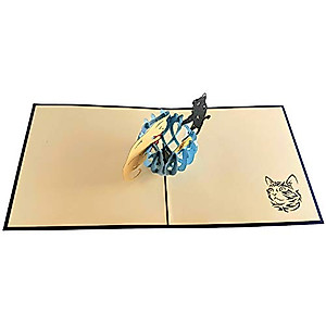 iGifts And Cards Two Cute Cats With Fish Bowl 3D Pop Up Greeting Card - Playful, Furry, Lovable, Pussycat, Active, Meow, Kittens Half-Fold, Happy Birthday, Just Because, Thinking of You, Friendship