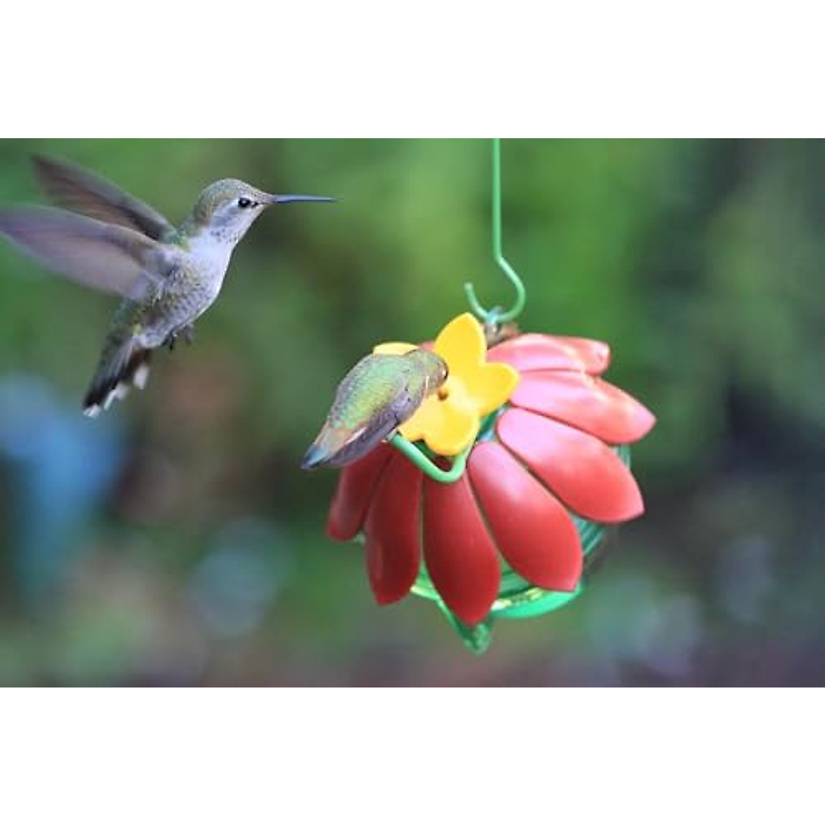 Wild Wings WWSFHF5 So Real Single Flower Hummingbird Feeder, Red/Yellow (2-Pack)
