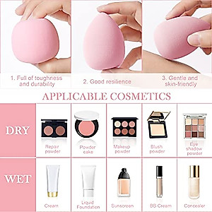 AUAUY 8 Pcs Makeup Sponge Blender Set, Beauty Sponge, Makeup Sponges for Foundation, Multi-color Makeup Sponge Set With 1 holder 1 Storage Tank, for Liquid, Cream, and Powder (3 Shapes)