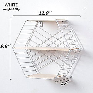 Doremy Floating Shelf,Wall Mounted Modern Simple Geometry Wood Metal Wire Hexagon Plant Flower Wall Decoration Wall Storage Shelves Display Racks Perfect for Bedroom,Living Room,Office (White)