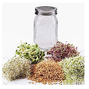 Mason Jar Liquor/Oil Pour Spout Dispenser, Sprouting Mason Jar Lid,Shaker Lid Shaker Dry Rub Lid - Cocktail, Mix Spices, Dredge Flour, Sugar Pack of 6