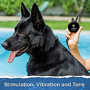 Educator - ET-300 Black - Ecollar Dog Training Collar with Remote Control - 1/2 Mile Range, Waterproof, Rechargeable, 100 Training Stimulation Levels, Vibration and Tone W/PetsTEK Training Clicker