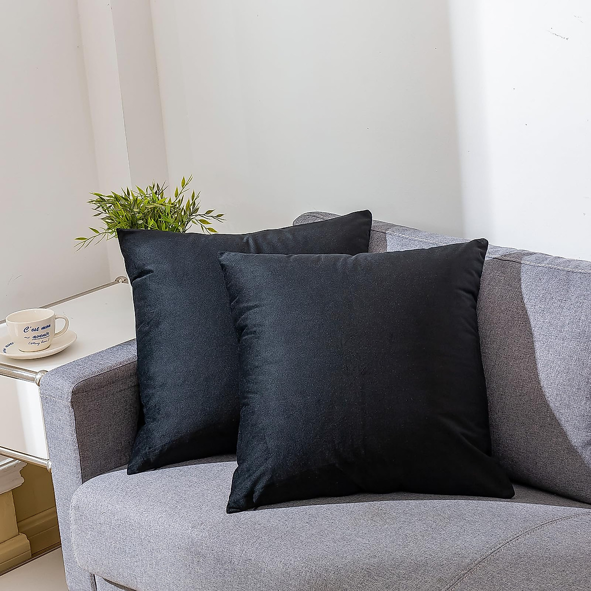 RainRoad Black Throw Pillows Covers Set of 2 Soft Velvet Decorative Pillow Covers 18x18 Inch for Couch Bed (Black, 18" x 18"(Pack of 2))