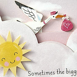 Hallmark Paper Wonder Paper Craft Baby Shower Card for Baby Girl (Stork), 4 X 5.5 Inches (499RZW1028)