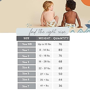 The Honest Company Clean Conscious Diapers | Plant-Based, Sustainable | Turtle Time + Dots & Dashes | Club Box, Size 2 (12-18 lbs), 76 Count