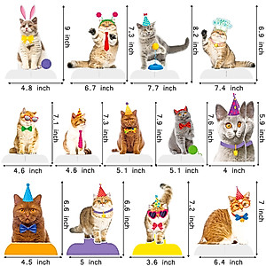 British Shorthair Cat Honeycomb Centerpieces 12Pcs Cat Birthday Party Decorations Cute Cat Party Table Decorations for Cat Themed Kitten Birthday Party Supplies