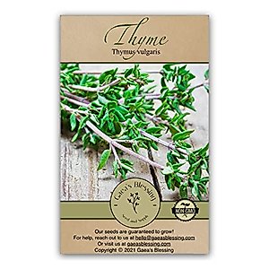Gaea's Blessing Seeds - Thyme Seeds - Non-GMO - with Easy to Follow Planting Instructions - Herb Thymus Vulgaris 350mg 90% Germination