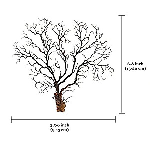 SunGrow Betta Fish, African Frog & Hermit Crab Aquarium Sea Fan, Tank Decoration, Sea Willow Aquarium Décor