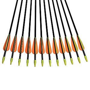 NIKA ARCHERY Fiberglass Arrows for Youth Practise Recurvebow Compound Bow Shooting 12X 26 inch