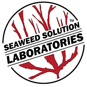 Malt Extract Agar (MEA) Dehydrated, 100 grams