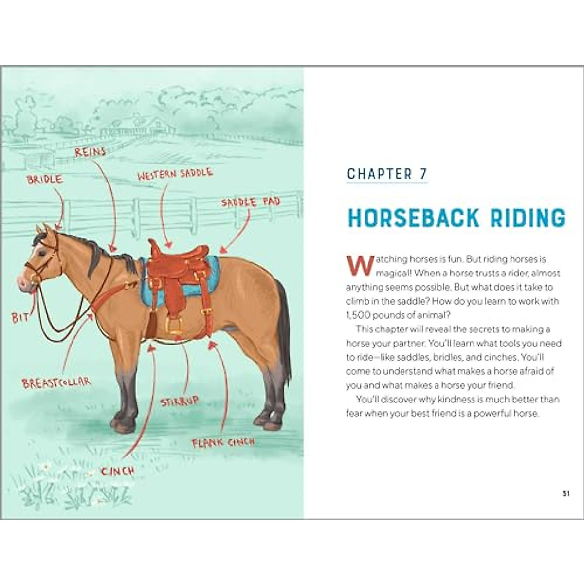 All About Horses: A Kid's Guide to Breeds, Care, Riding, and More!