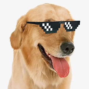 Lorigun Thug Life Sunglasses Pixelated Mosaic Glasses Party Glasses MLG Shades (12 Pixels)