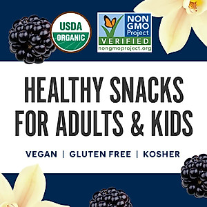 Noka Superfood Fruit Smoothie Pouches, Blackberry Vanilla, Healthy Snacks with Flax Seed, Plant Protein and Prebiotic Fiber, Vegan and Gluten Free Snacks, Organic Squeeze Pouch, 4.22 oz, 12 Count