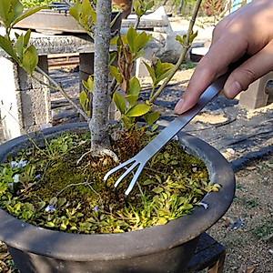 SQXBK Bonsai Rake Stainless Steel Root Rake with Spatula Mini Gardening Rack Cultivator 3-Prong Loosen Soil Bonsai Tree Tools