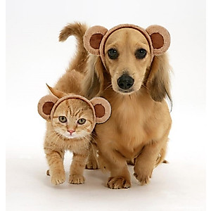 Bear Ears Headbands for Adults - Cute Brown Bear Costume Ears for Women's Halloween Festival Party Hair Accessories