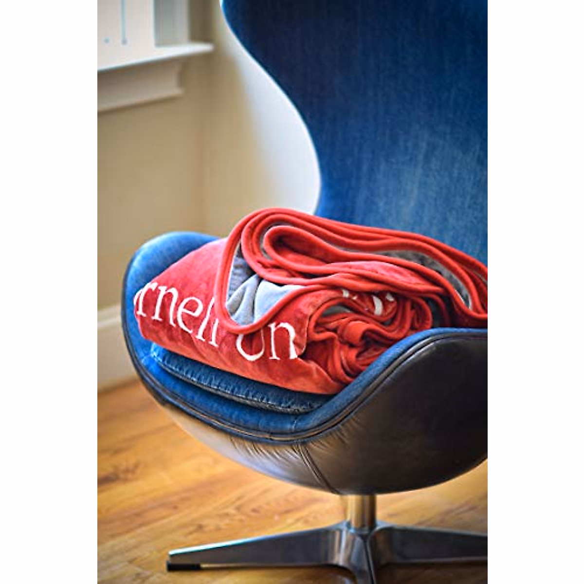 Dormitory 101 Cornell U Premium Plush Fleece Blanket - X Large 60"X80". Fits Queen or Twin XL Beds. Winter Holiday Graduation Gifts