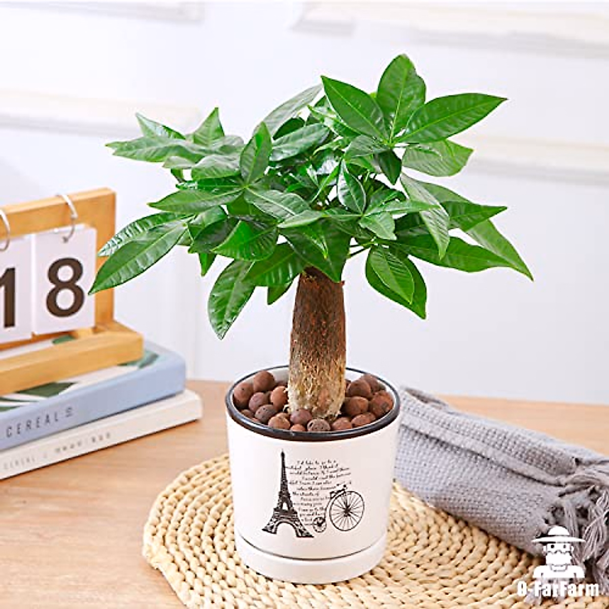 O-FarFarm Clay Pebbles for Indoor Plants, Hydroponics Supplies Clay Balls for Hydroponic Growing, 3 Sizes to Choose for Orchids, Hydroponics, Aquaculture(1qt, 10-30mm)