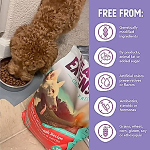 Health Extension Dry Dog Food, Natural Food with Added Vitamins & Minerals, Suitable for All Puppies, Include Buffalo & Whitefish Recipe with Whole Vegetable & Berries (23.5 Pound)