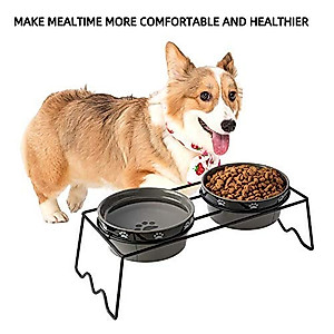 Y YHY Raised Dog Cat Bowls, Elevated Dog Cat Bowls 24oz, Ceramic Dog Cat Bowls for Food and Water, Pet Bowls for Cats and Small Dogs, Prevent Neck Pain, Anti Slip Feet, Grey