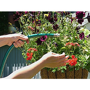 Apex Teknor 100519499 NeverKink 8615-50, Heavy Duty Garden Hose, 5/8-Inch by 50-Feet