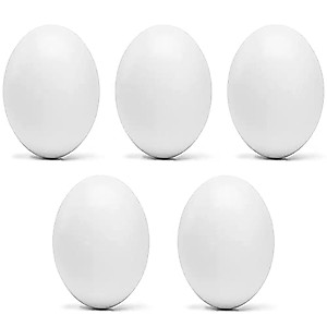 WOLEDOE 5Pcs Solid Plastic Parrot Fake Eggs, Keeping Them from Laying Anymore Eggs, Suit for Medium and Large Parrots, Pigeon, African Grey, Caique, Cockatoo, Sun Conures and Mini Macaw