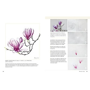 Botanical Art Techniques: A Comprehensive Guide to Watercolor, Graphite, Colored Pencil, Vellum, Pen and Ink, Egg Tempera, Oils, Printmaking, and More