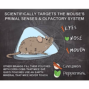 Grandpa Gus's Double-Potent Rodent Repellent Spray, Peppermint & Cinnamon Oil, Prevents Mouse/Rats from Nesting & Chewing on Wires, 16 fl oz (Pack of 1)