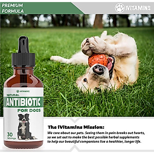 Natural Dog Antibiotics - Antibiotics for Dogs - Antibiotic for Dog - Yeast Infection Treatment for Dogs - Dog Yeast Infection Treatment - Itch Relief for Dogs - 1 fl oz - Bacon Flavor