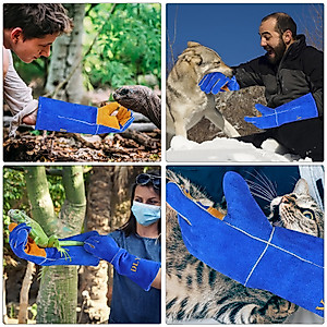 DLY Animal Handling Gloves, Double Cowhide Leather Reinforced Padding, Dog Bite Gloves for Grabbing Cat, Reptile, Grooming, Falcon, 17.7 Inches, Yellow-blue