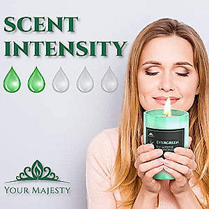 Evergreen Lemongrass & Eucalyptus Candle, Scented Candle for [Anxiety and Stress Relief] 60H Burning Time, Natural Soy Candle Infused with Essential Oils, Aromatherapy Candle 8.81 Oz