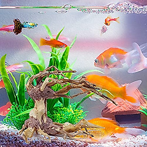 Bonsai Driftwood Aquarium Tree LSX Random Pick (4in Height) Natural, Handcrafted Fish Tank Decoration | Easy to Install