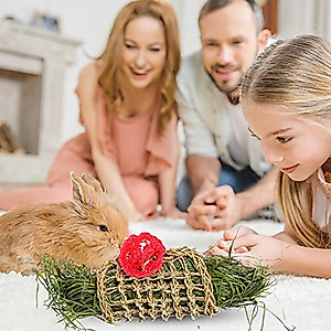 Bunny Chew Toys, Rabbit Toys, Timothy Hay Treats, Natural Sea Grass Mat Hay Feeder Bag, Rabbit Cage Hanging Chew Toys, All Natural Materials for Rabbit, Chinchilla, Guinea Pigs, Hamsters, Gerbils