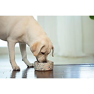 Dental Fresh Advanced Whitening Water Additive, 17oz – Dog Breath Freshener Formula to Hep Overall Dog Dental Care and Brighten Teeth