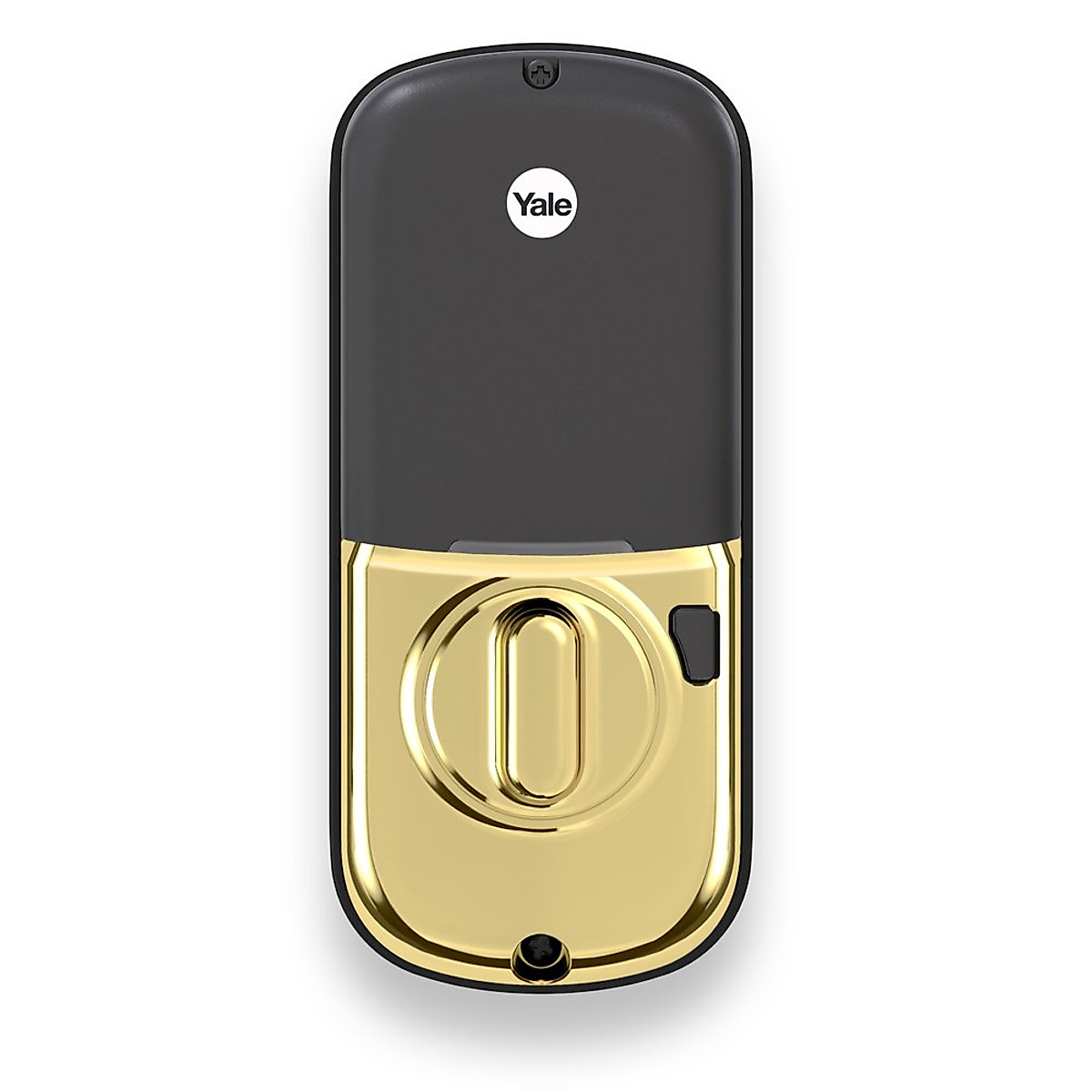 Yale Assure Lock with Z-Wave - Smart Touchscreen Deadbolt -Works with Ring Alarm, Samsung SmartThings, Wink and More (Hub required, sold separately) - Polished Brass