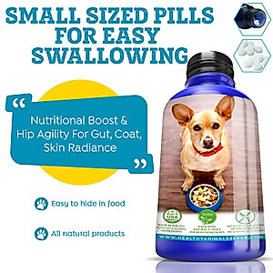 Healthy Animals 4Ever Nutritional Boost & Hip Agility for Gut, Coat, Skin Radiance | Extra Strong Ingredients | Fast Acting Formula | Completely Safe & Natural | 300 Tablets