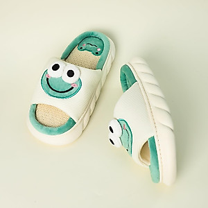 Gaolinci Cartoon Animal Shape Slippers, Womens Four Seasons Home Linen Slippers (Frog-US 8-9)