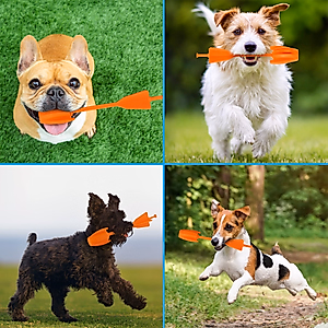 Funwares Ring Strike Fetch, Launcher for Dogs, Fetch Toy for Medium and Small Dogs
