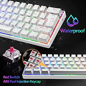 ZIYOU LANG MK21 Portable 60% Mechanical Gaming Keyboard Untra-Compact Type-c Wired with Light Up Chroma LED Backlit Non-Conflict 61 Key TKL Ergonomic for PS4 PS5 PC Mac Windows(White/Red Switch)