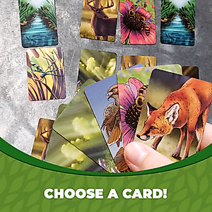 Ecosystem - A Family Card Game about Animals, their Habitats, and Biodiversity - Card Game for Kids 10+ and Adults - Family Games - Kids Board Games for Environmental Science Class - Fun Board Games