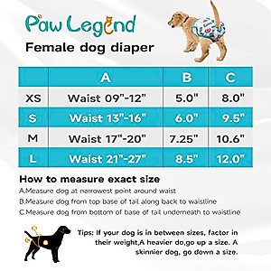 Paw Legend Washable Reusable Female Dog Diapers - No Leak Doggie Diapers for Heat Cycle (3 Pack,Adorable,Small)