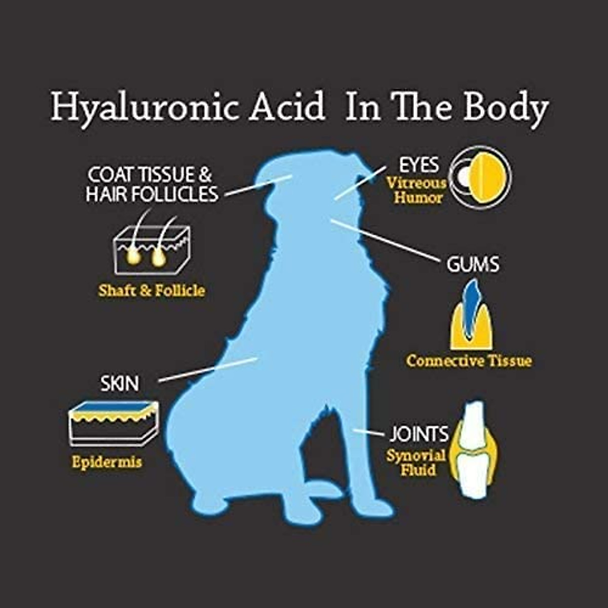 Hyalogic HyaFlex Pro Complete Dog Joint Supplement and Coat Conditioning Spray 4oz for Dogs, Cats, Pets with Hyaluronic Acid HA and Biotin