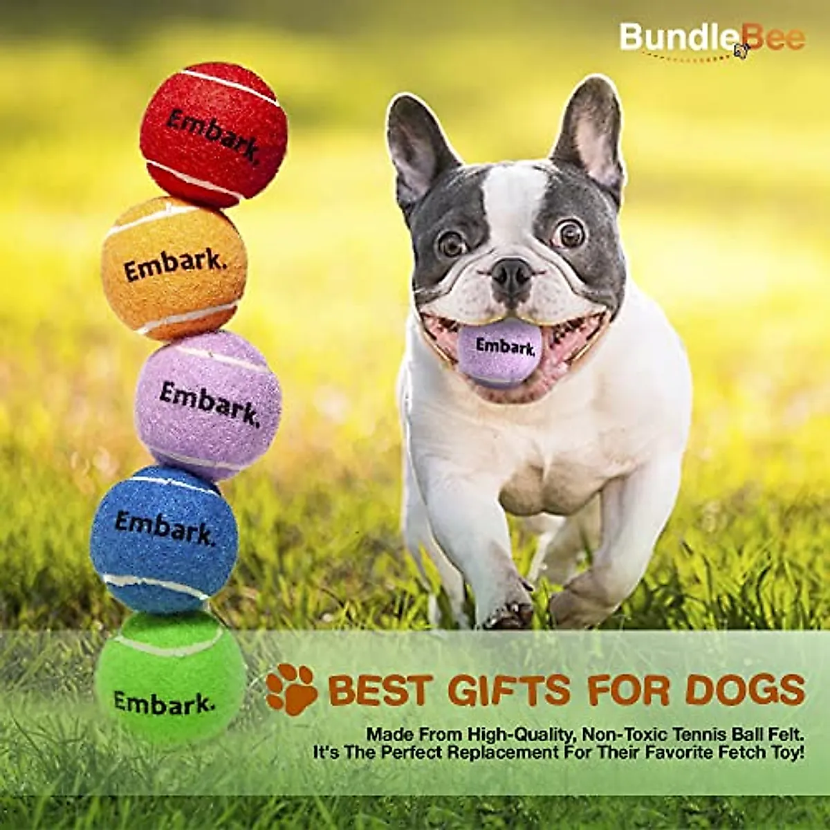 Colorful Squeaky Tennis Balls for Small Dogs and Puppies - 1.5 Inch - 6 Pack - Dog Training Toys for Positive Reinforcement, Interactive Squeaker Balls To Engage Attention Outside, Ball Launcher Fetch